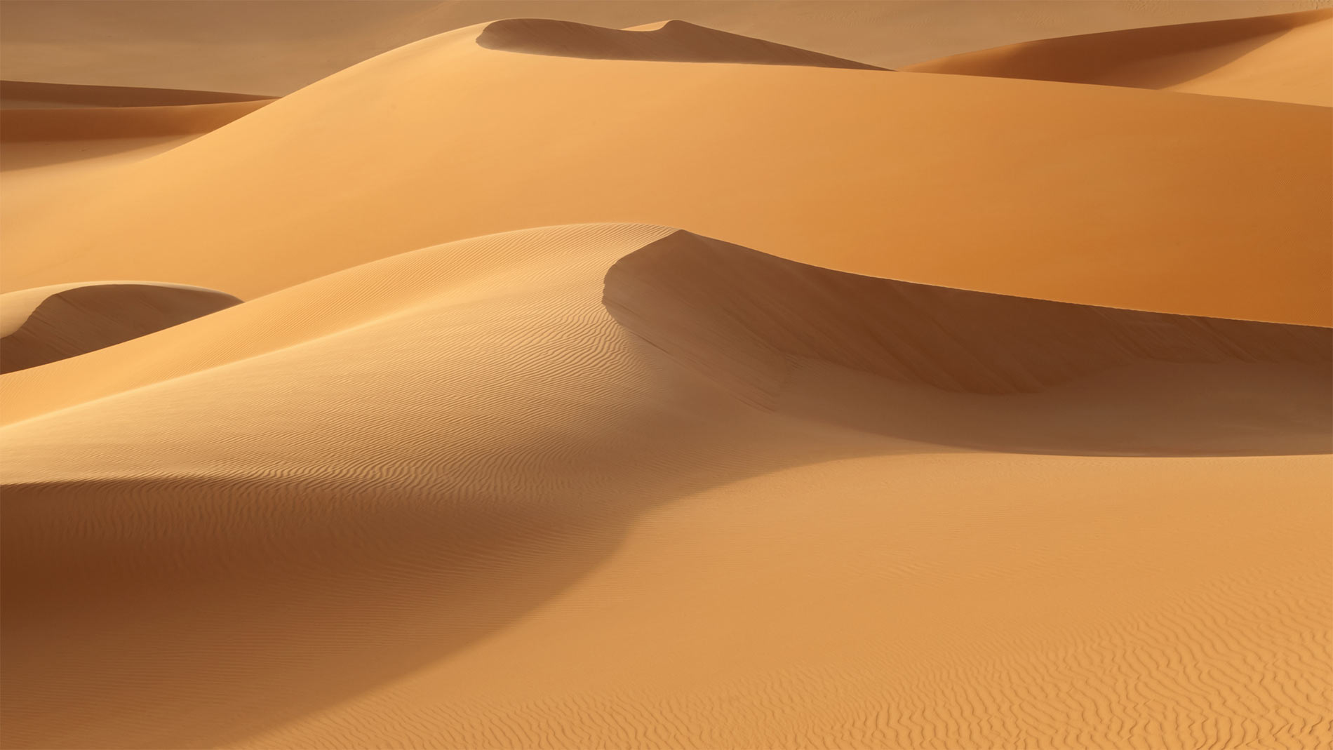 Desertic - Verescense Insulators